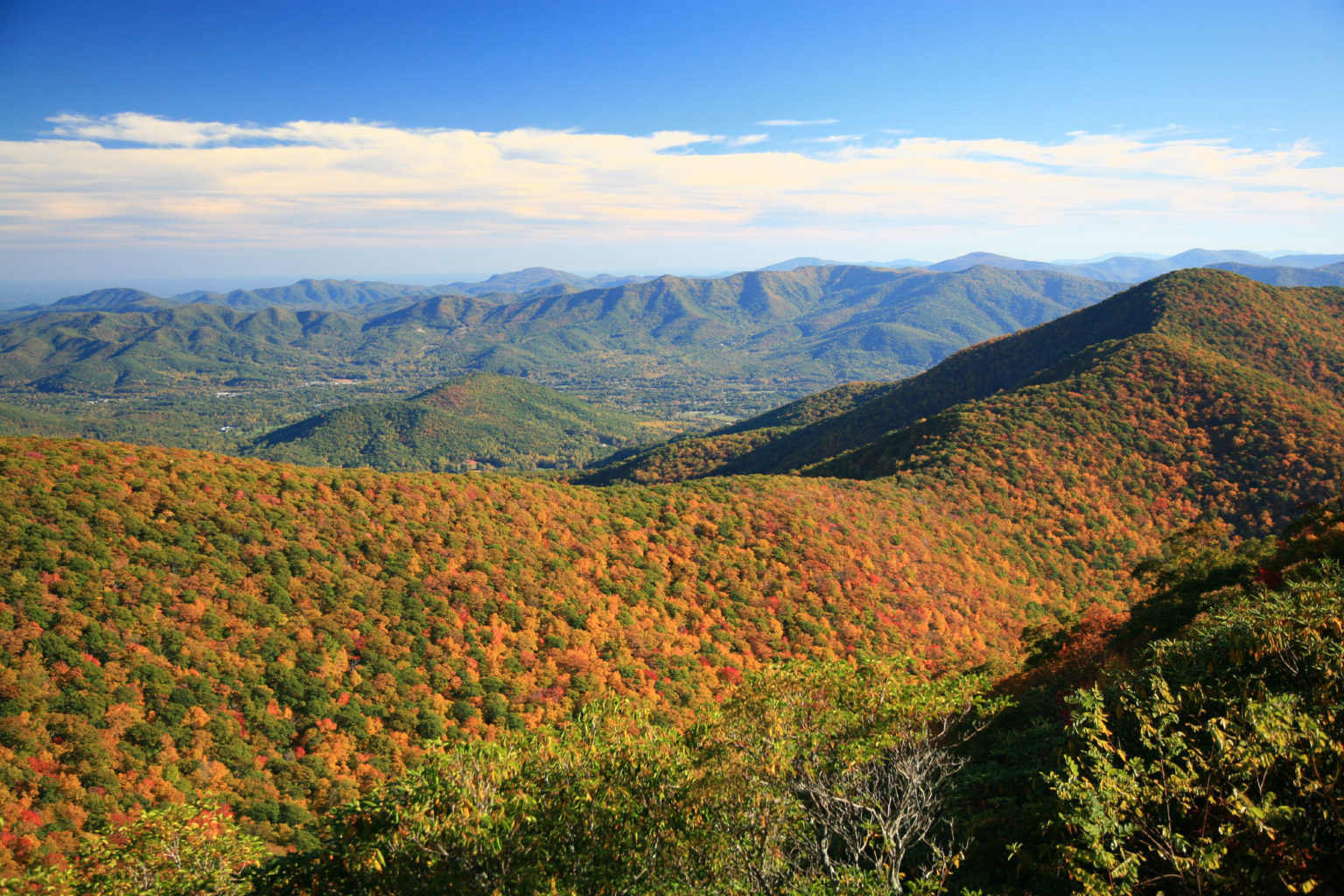 Our Pathways: The People & Stories of the Swannanoa Valley – Swannanoa ...