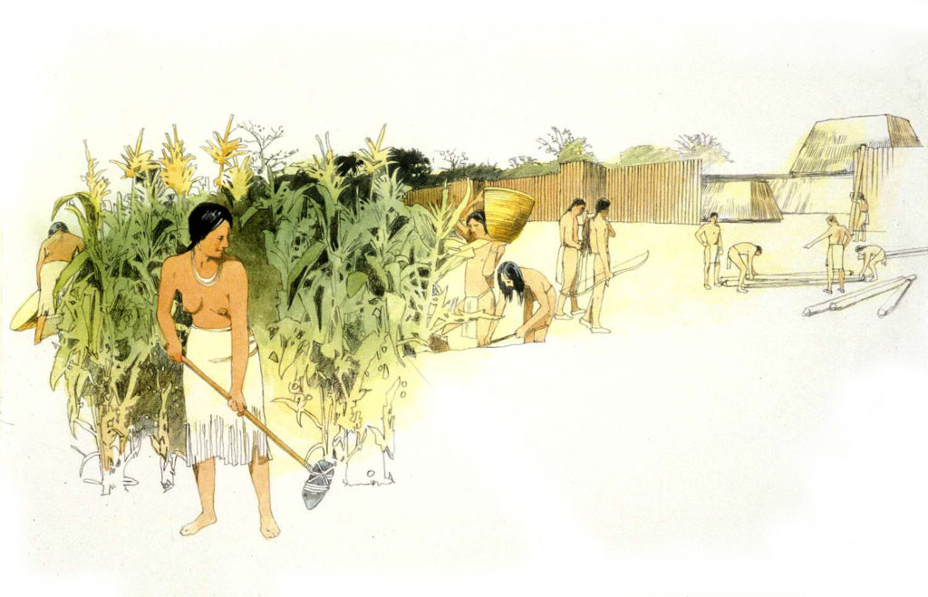 15th-century Cherokee of the Swannanoa Valley - Swannanoa Valley Museum ...